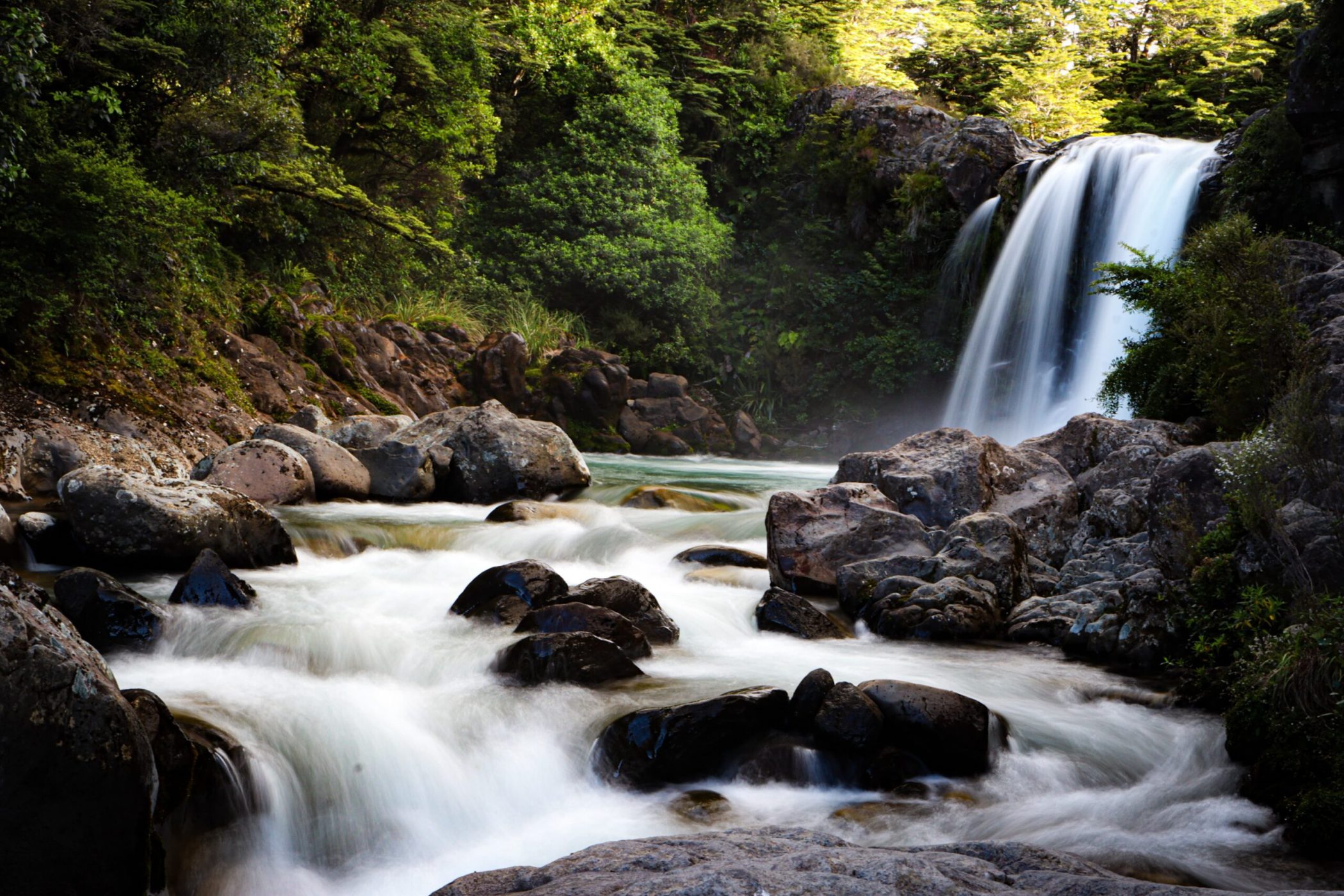 Gallery | National Park Shuttles